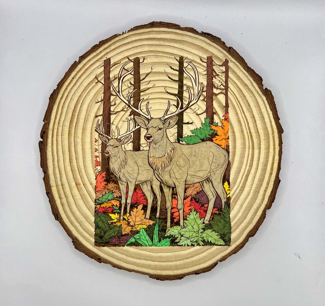 Laser Engraved & Hand Painted Deer in Forest on Live Edge Wood Slice - Etsy