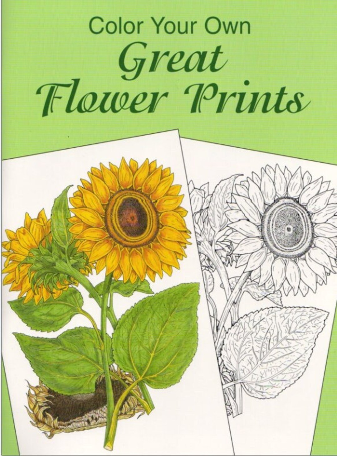 Dover Coloring Book - Color Your Own Great Flower Prints - Etsy