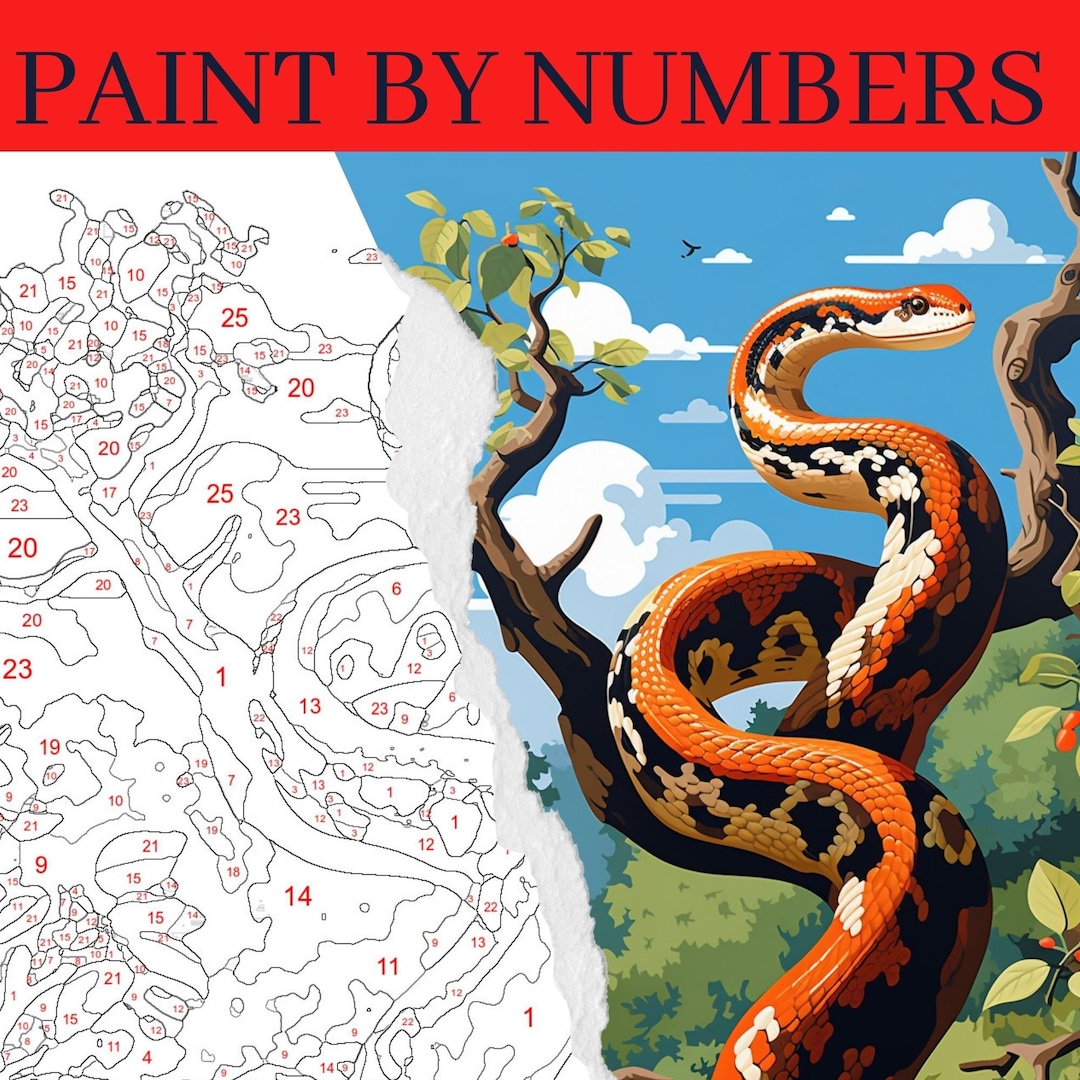 Snake Paint by Number Kit, Animal Painting Kit, Adult Color by Number ...