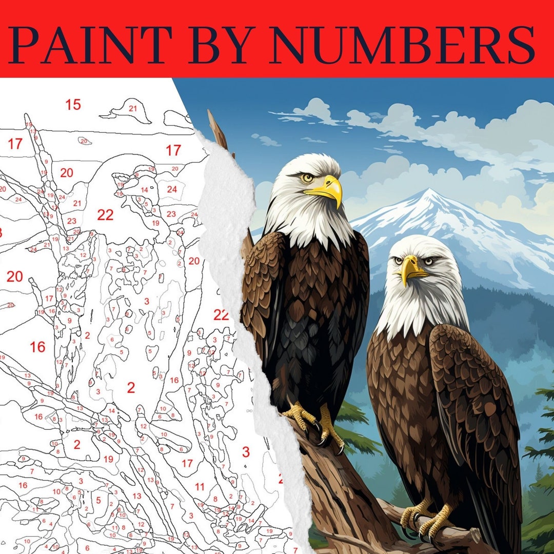 Eagle Paint by Number Kit, Animal Painting Kit, Color by Number, Adult ...