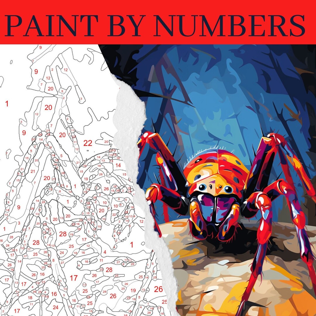 Spider Paint by Number Kit, Animal Painting Kit, Adult Color by Number ...