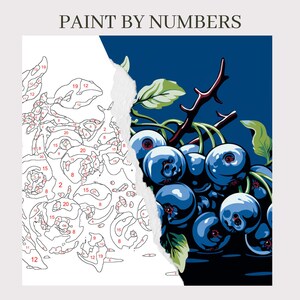 Paint by Number Sweet Blueberry Kit, Easy Canvas Painting for Adults ...