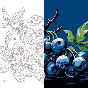 Paint by Number Sweet Blueberry Kit, Easy Canvas Painting for Adults ...