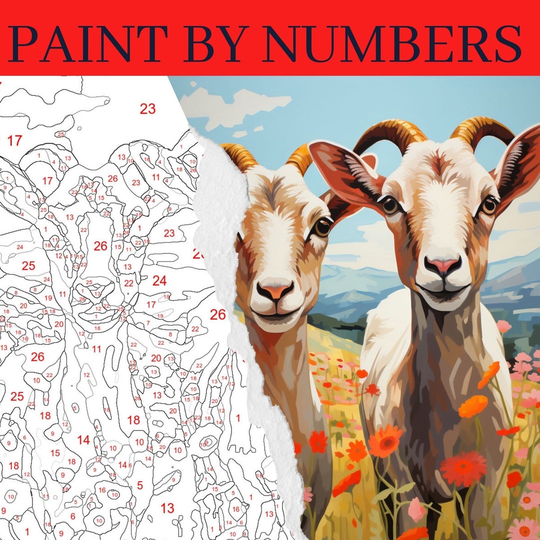 Goat Paint by Number Kit, Animal Painting Kit, Color by Number, Adult ...