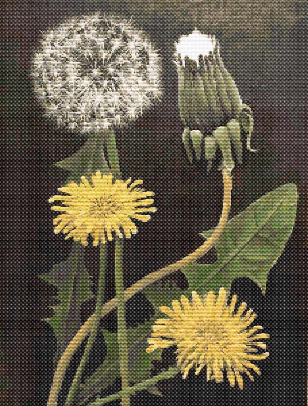 Cross Stitch Chart – Realistic Dandelion Bush.pattern Keeper Compatible ...