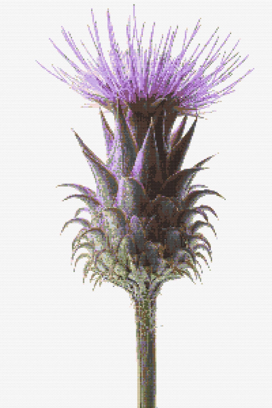 Cross Stitch Chart – Realistic Thistle Flower.pattern Keeper Compatible ...
