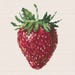 Сross Stitch Chart – Strawberry Realistic, PDF File, Simple Cross ...