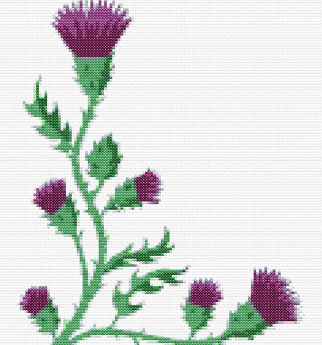 Cross Stitch Chart – Wild Thistle Realistic Botanical Embroidery.pk ...