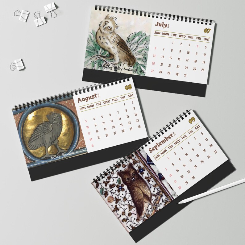 Desktop Calendar 2025 US&CA Version Funny Medieval Owl Paintings ...