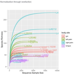 Streamline Microbiome Data Analysis With Comprehensive R Code: Phyloseq ...