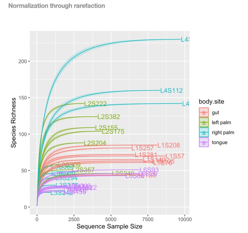 Streamline Microbiome Data Analysis With Comprehensive R Code: Phyloseq ...