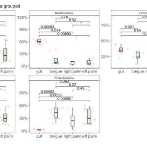 Streamline Microbiome Data Analysis With Comprehensive R Code: Phyloseq ...