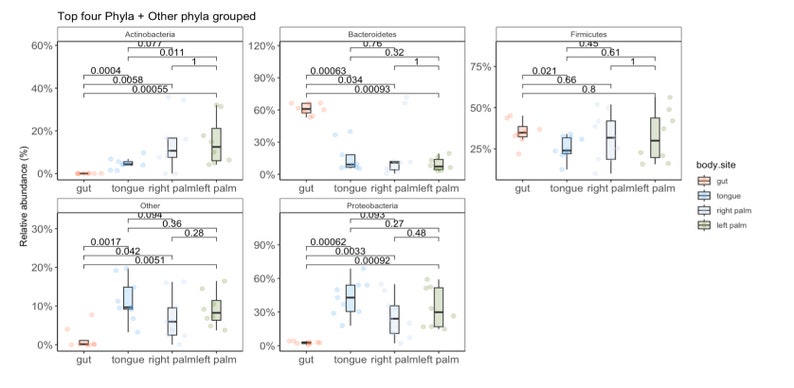 Streamline Microbiome Data Analysis With Comprehensive R Code: Phyloseq ...