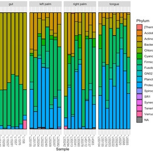 Streamline Microbiome Data Analysis With Comprehensive R Code: Phyloseq ...