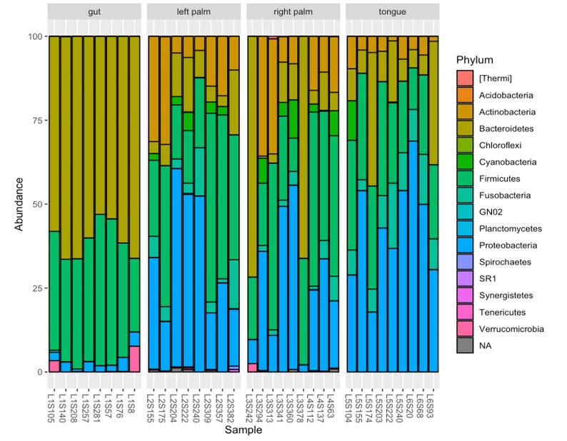 Streamline Microbiome Data Analysis With Comprehensive R Code Phyloseq Correlation And