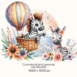 Cute Zebra Clipart, Zebra PNG, Jungle Animal Clipart, Safari Clipart ...