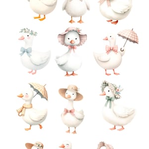 Silly Goose Clipart, Whimsical Clipart, Goose PNG, Silly Goose, Spring ...