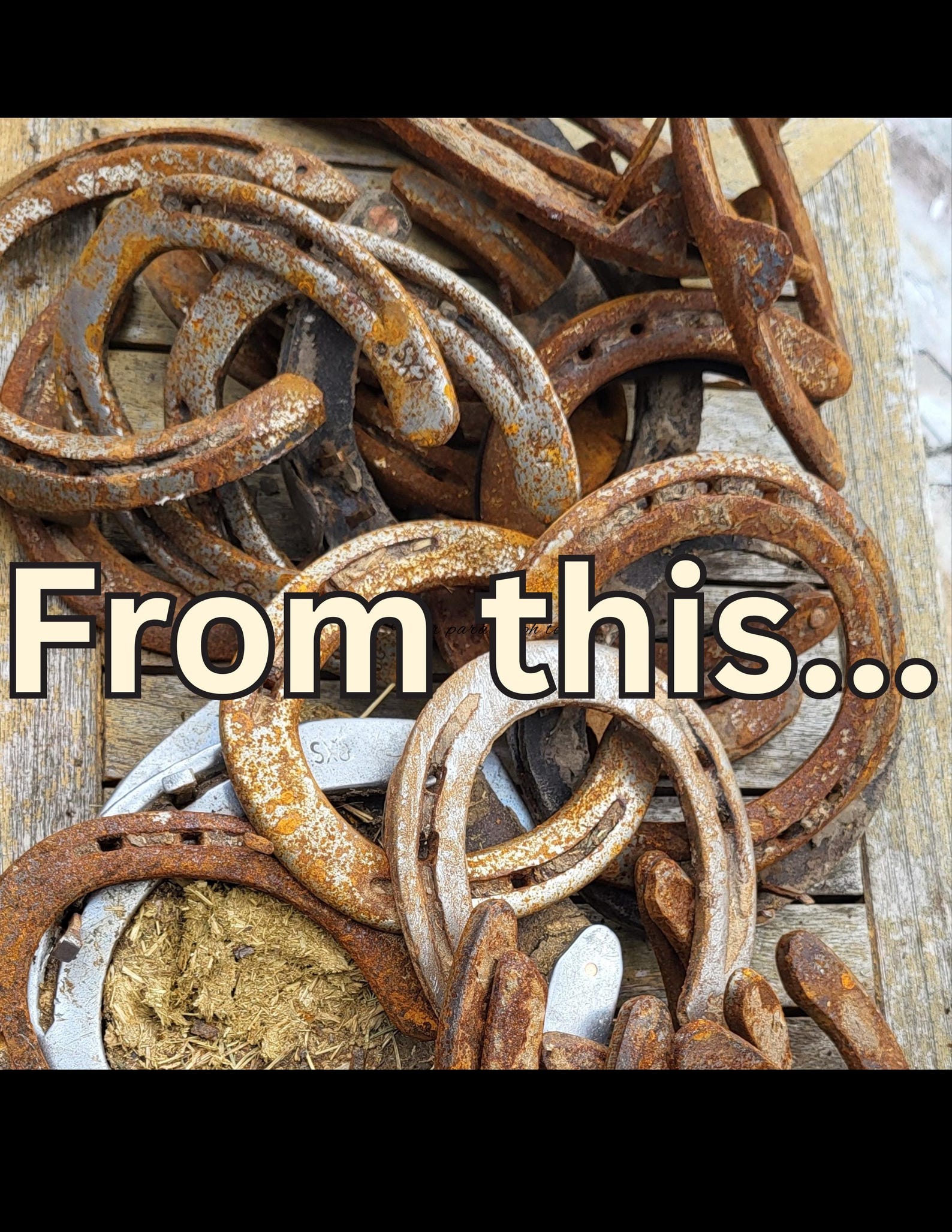 Lucky Horseshoe Gift Good Luck Decor New Home Housewarming Wedding Gift ...