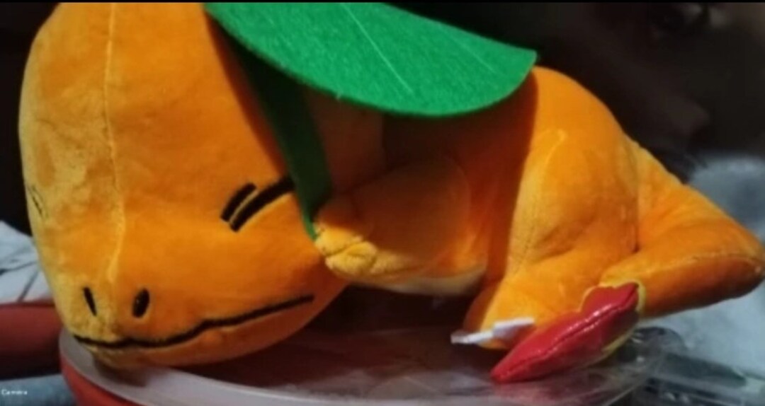 Sleeping Charmander Pokemon Plush, Stuffed Animal Larger Anime Gift ...