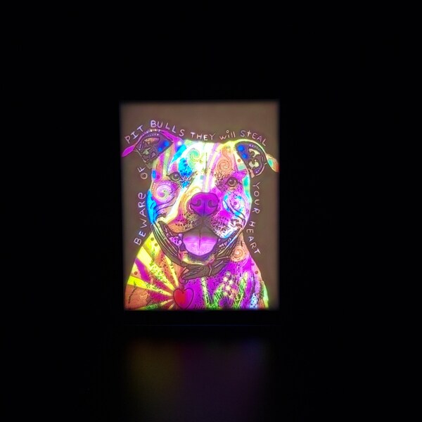 3d Printed Color Lithophane - Etsy