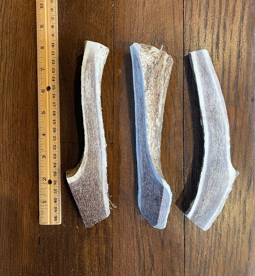 3 Pack XL Farm Raised Elk Antler Dog Chew. (split) - Etsy