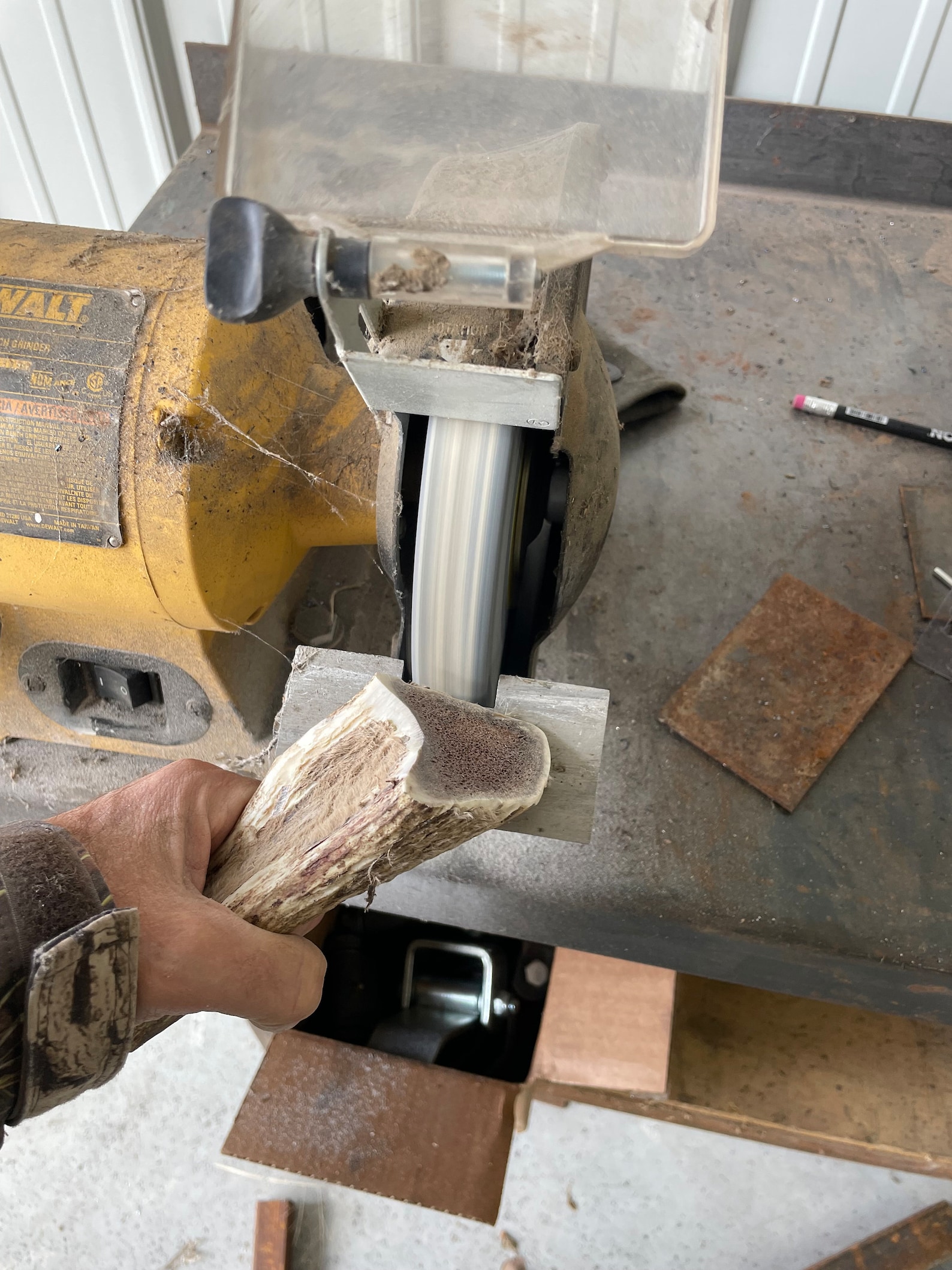 3 Pack Medium Farm Raised Elk Antler Dog Chews. (split) - Etsy
