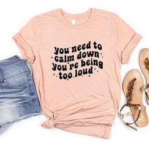 You Need to Calm Down, You're Being Too Loud Shirt, Teacher ...