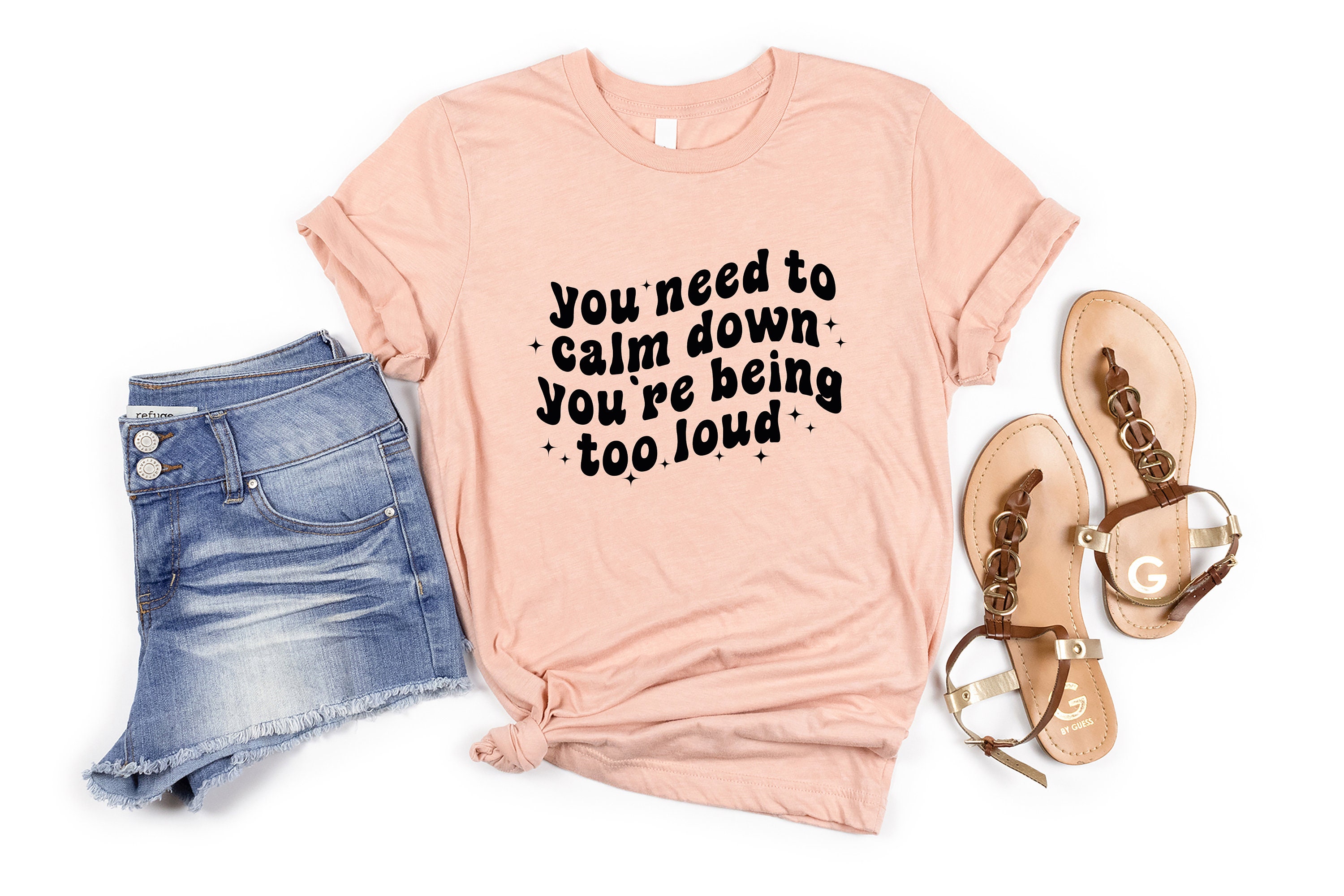 You Need to Calm Down, You're Being Too Loud Shirt, Teacher ...