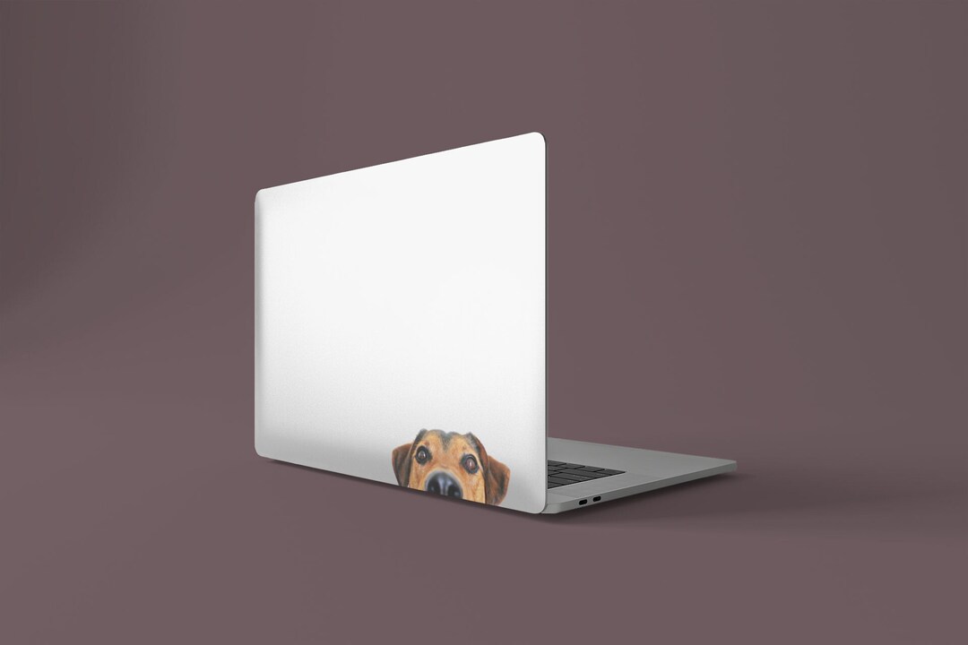 Funny Custom Pet Sticker Dog Sticker Car Window Office Home Window ...