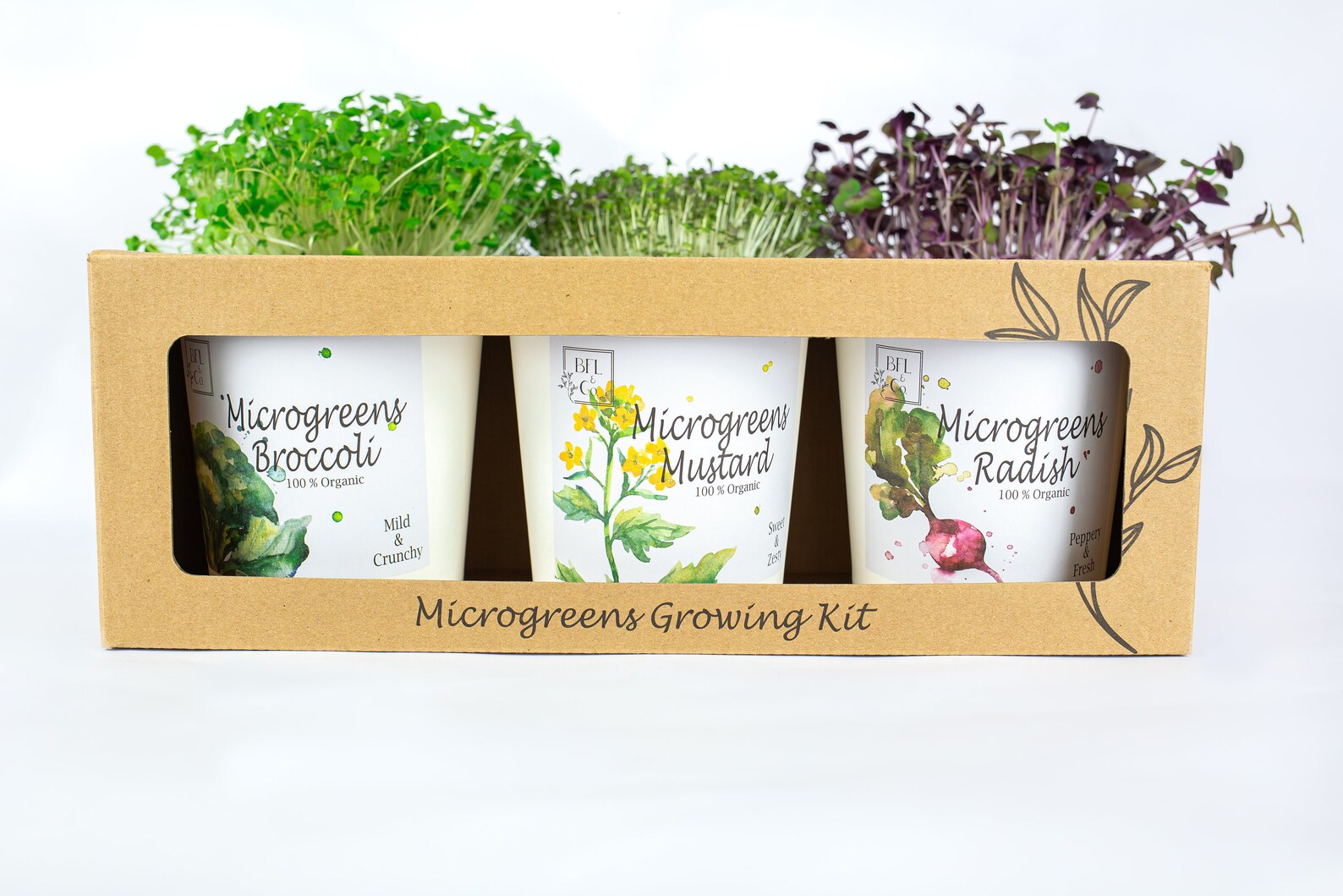 Microgreens Growing Kit Indoor, 3 Reusable Pots, 3 Organic Seed Packs ...