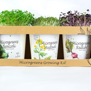 Microgreens Growing Kit Indoor, 3 Reusable Pots, 3 Organic Seed Packs ...