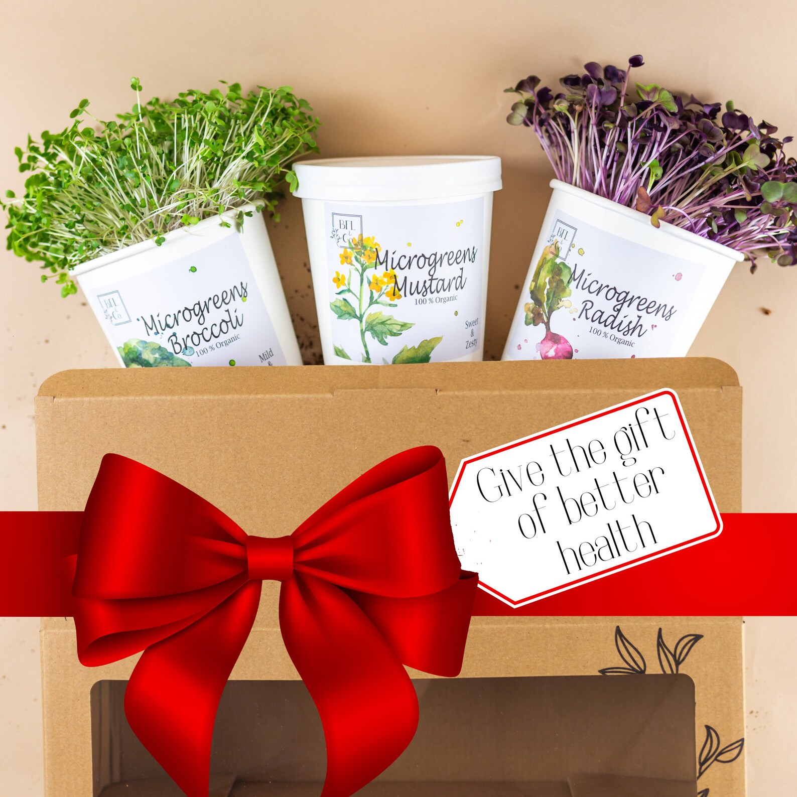 Microgreens Growing Kit Indoor, 3 Reusable Pots, 3 Organic Seed Packs ...