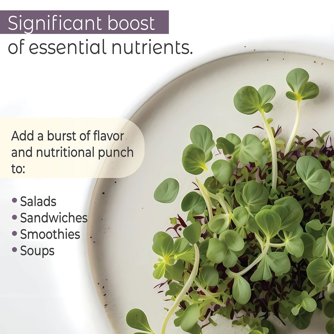 Microgreens Growing Kit Indoor, 3 Reusable Pots, 3 Organic Seed Packs ...