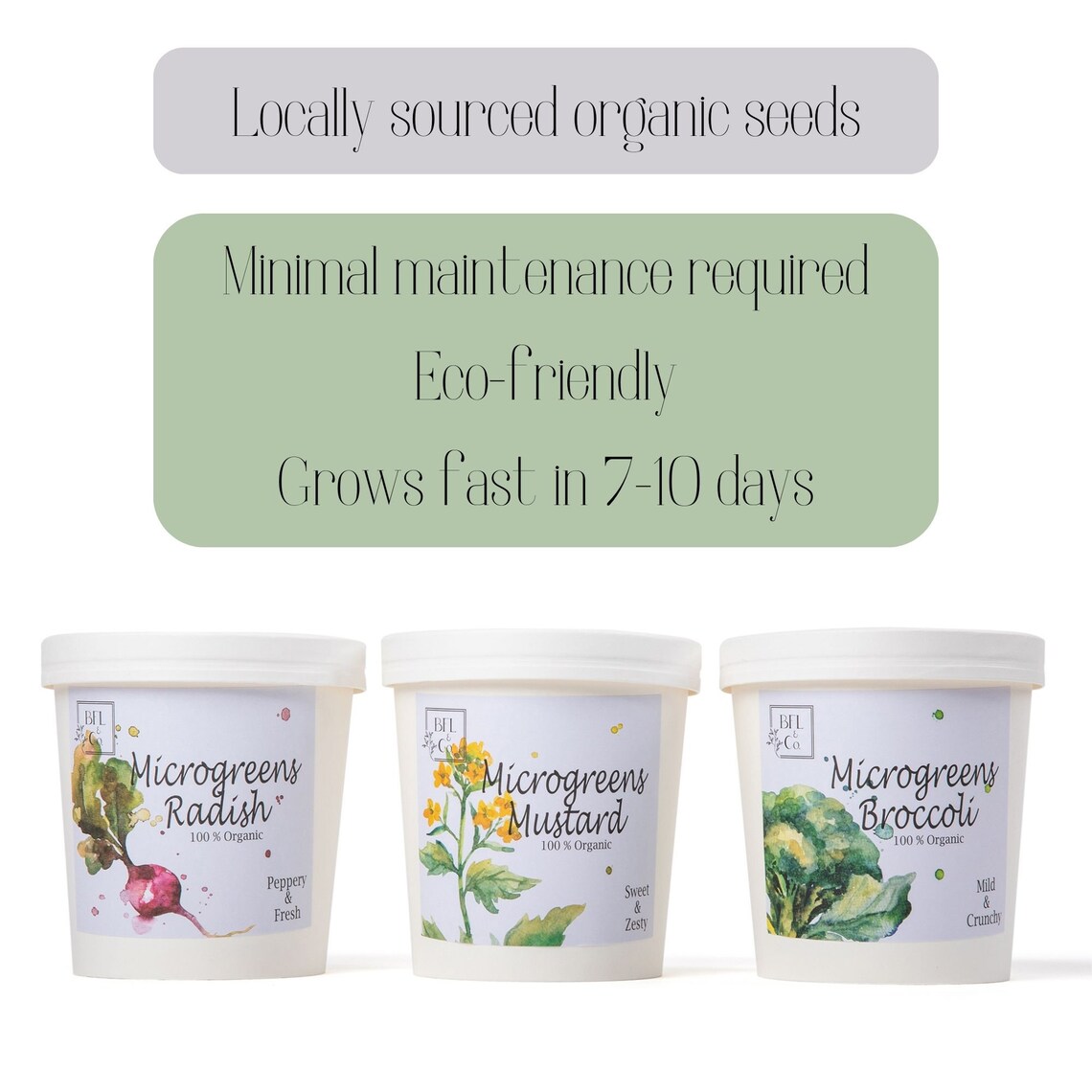 Microgreens Growing Kit Indoor, 3 Reusable Pots, 3 Organic Seed Packs ...