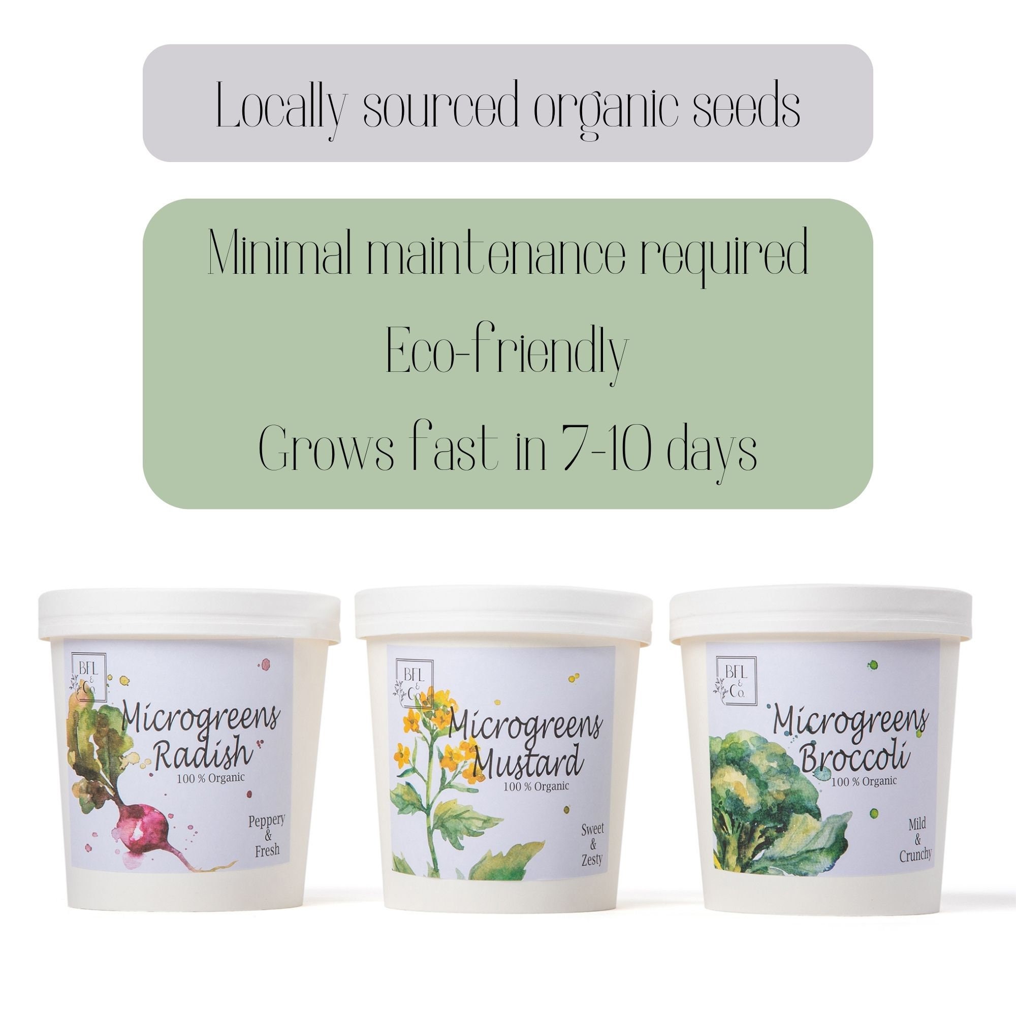 Microgreens Growing Kit Indoor, 3 Reusable Pots, 3 Organic Seed Packs ...