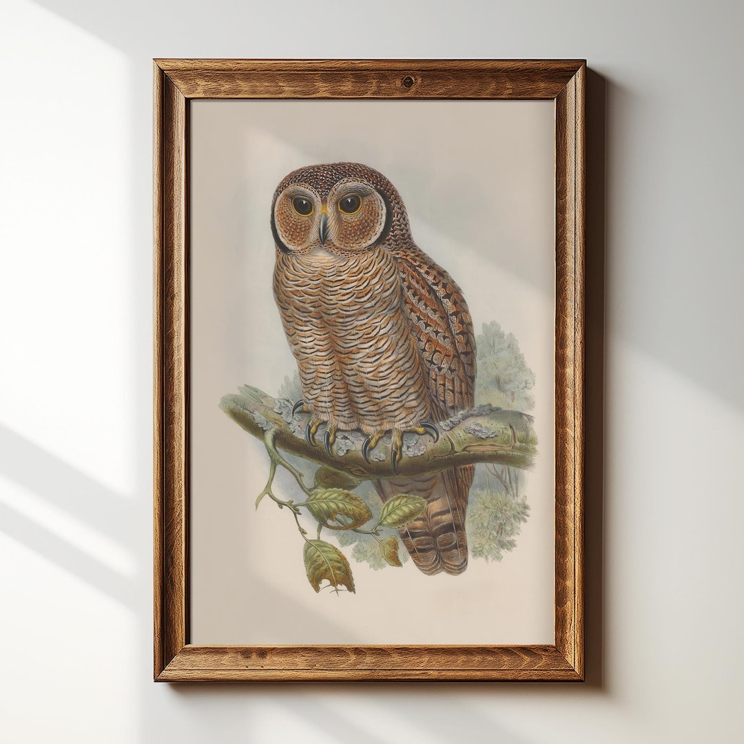 Vintage Wood Owl Art Print – Cottagecore Farmhouse Wall Decor – #313 - Etsy