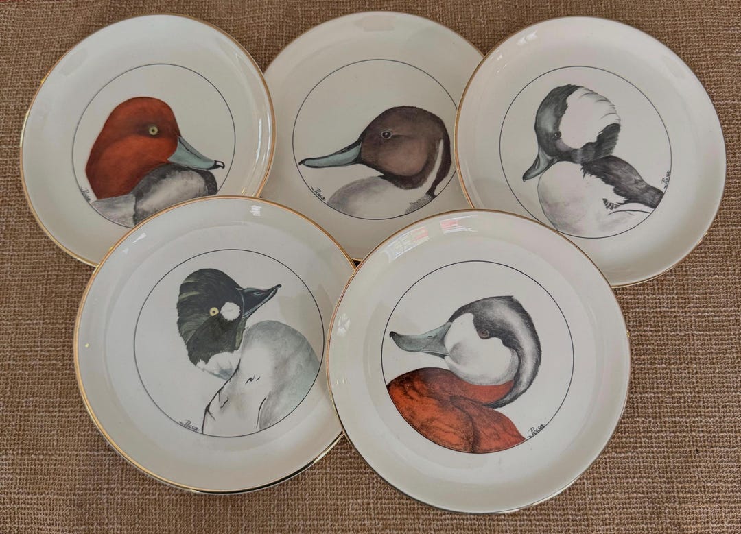 5 Vintage Hand Painted Collector Duck Plates 1962 Pierson Delano ...