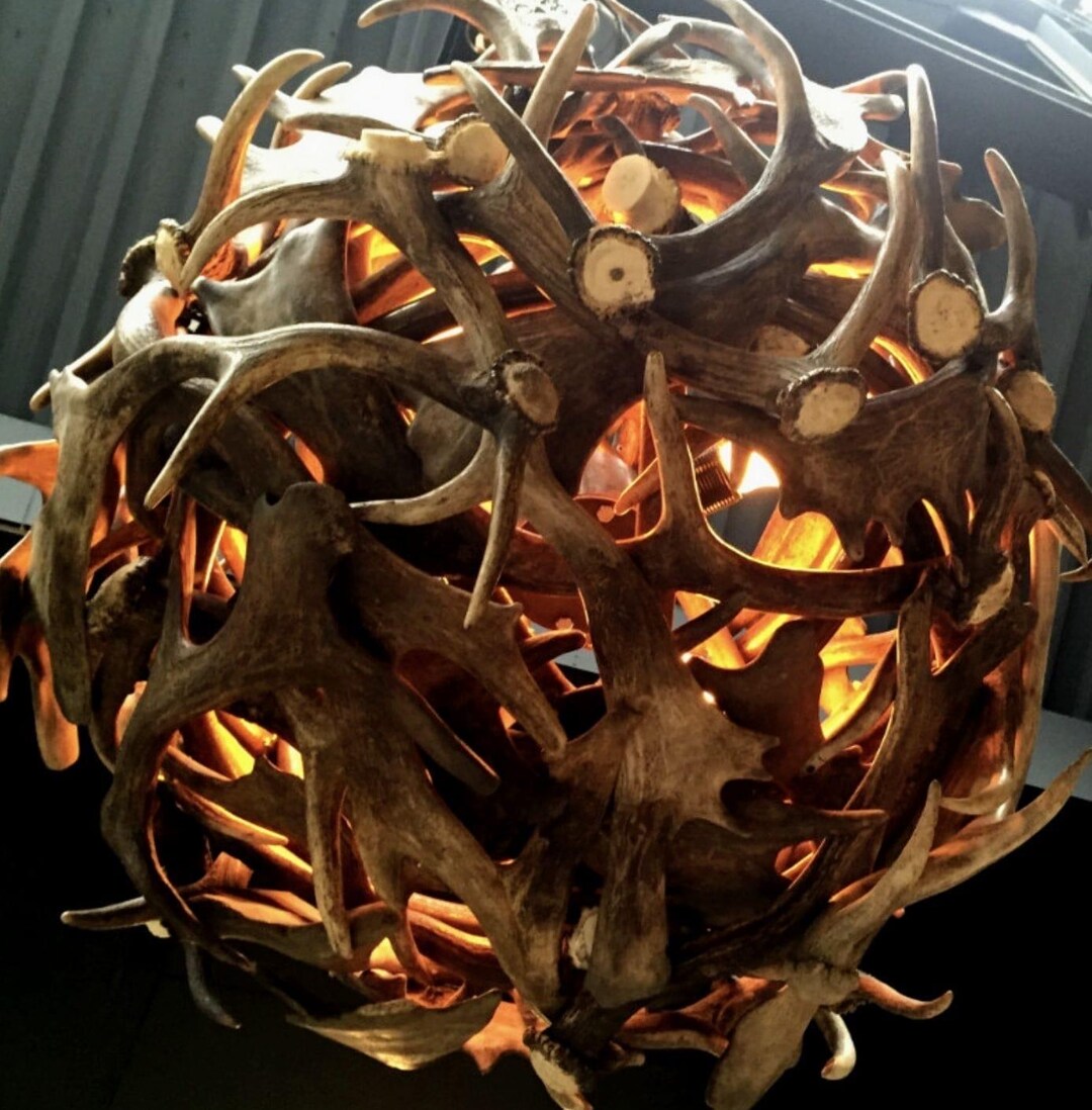 Vintage Rustic Fallow Deer Antler Sphere Chandelier -free Mainland UK ...