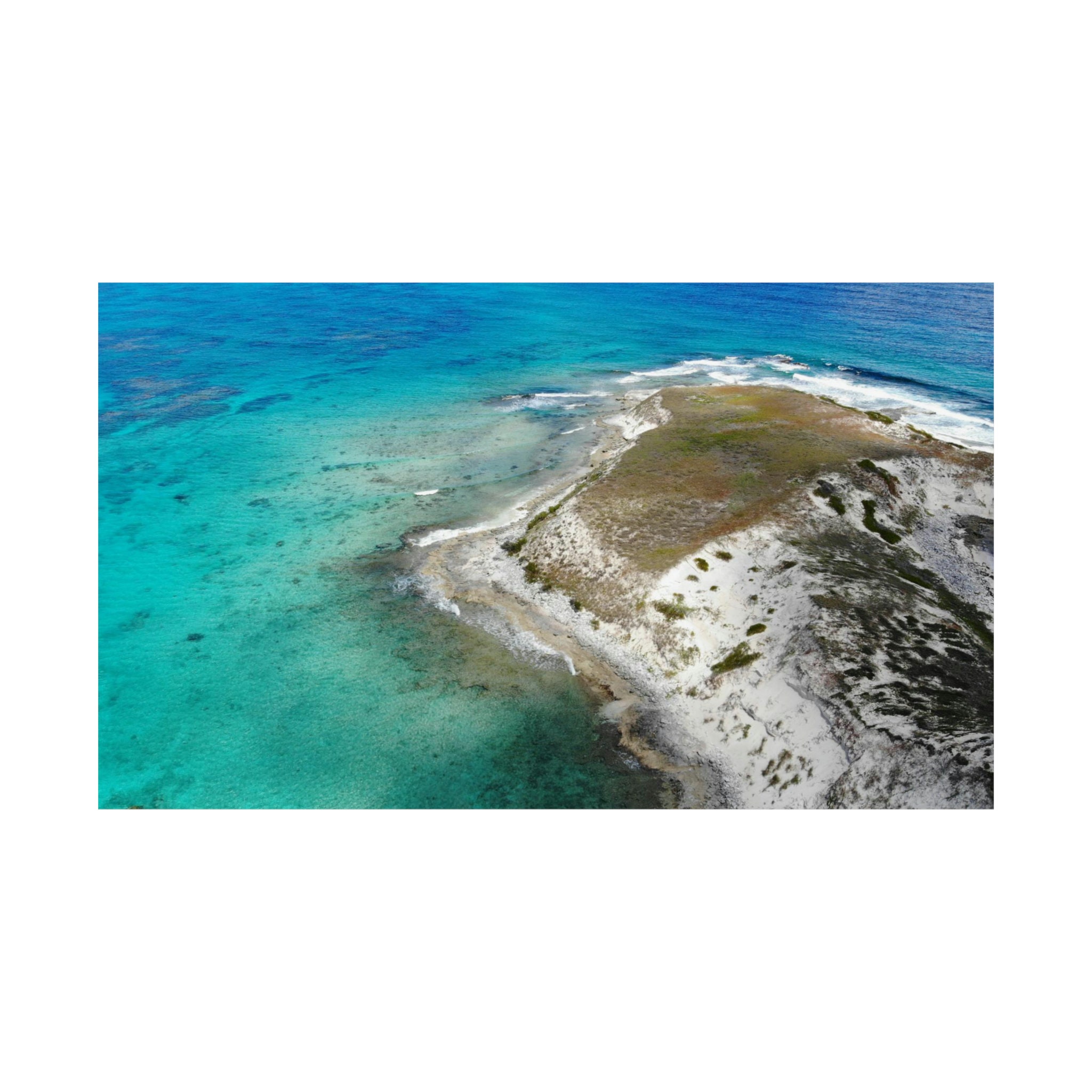 Half Moon Cay Reef Poster - Etsy