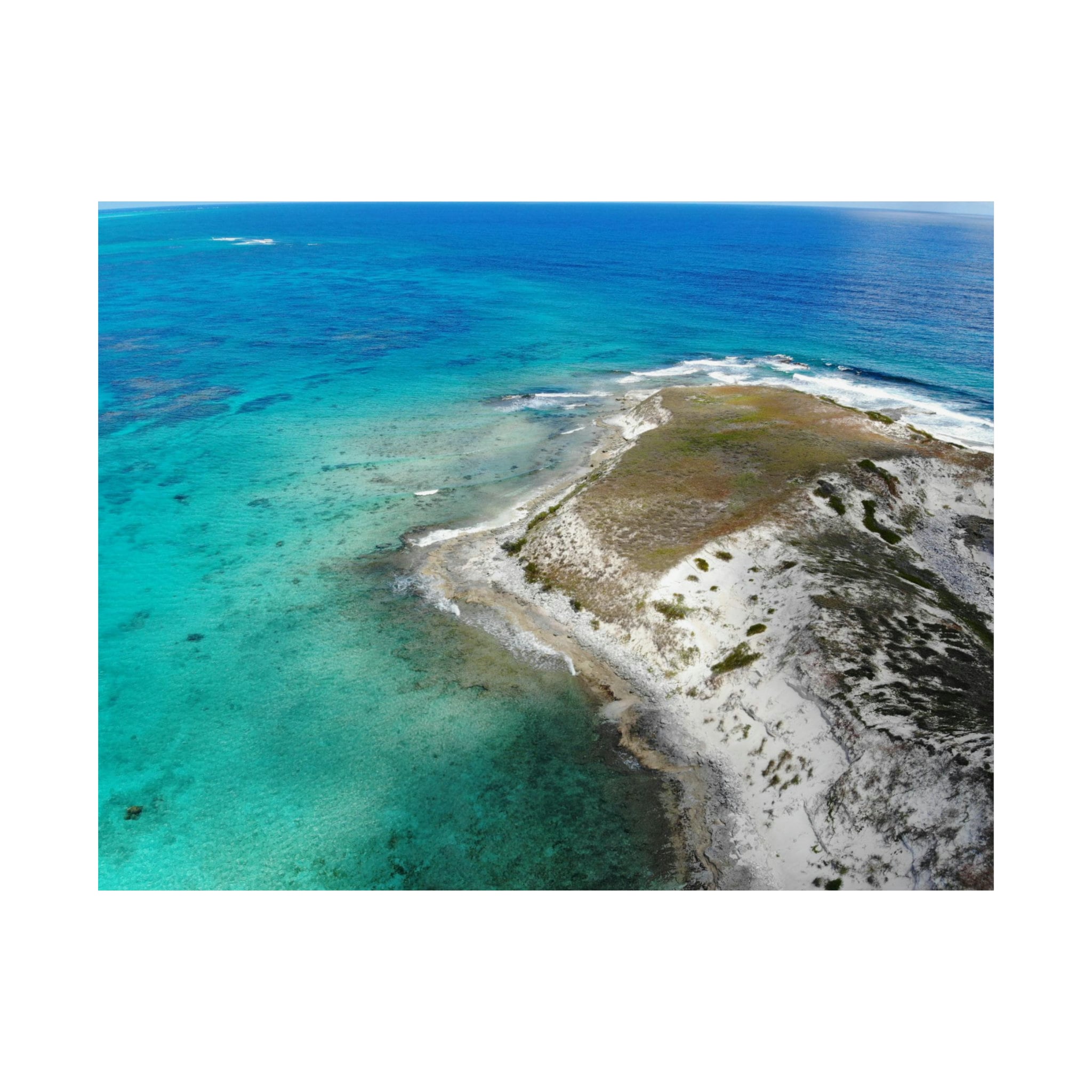 Half Moon Cay Reef Poster - Etsy