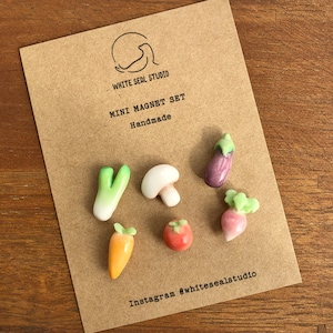 Mini Clay Magnet Set Vegetables Handmade Polymer Clay Fridge Magnets ...