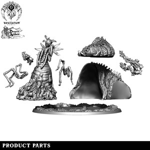 Hive Queen | Bestiarum | Wargaming Dnd Miniatures - Etsy