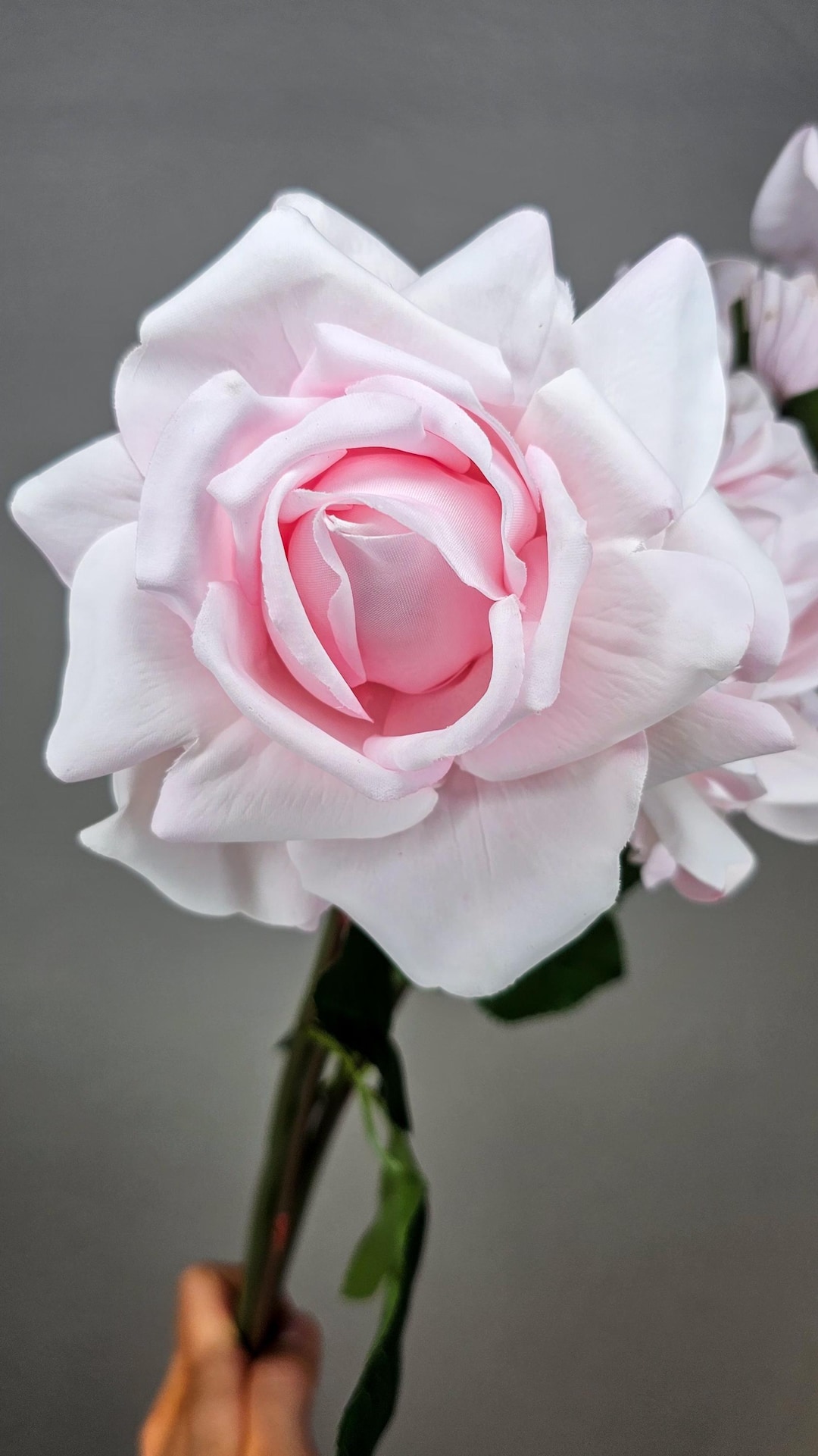 Pink Real Touch Rose/ Realistic Rose Real Touch/high Quality Real Rose ...