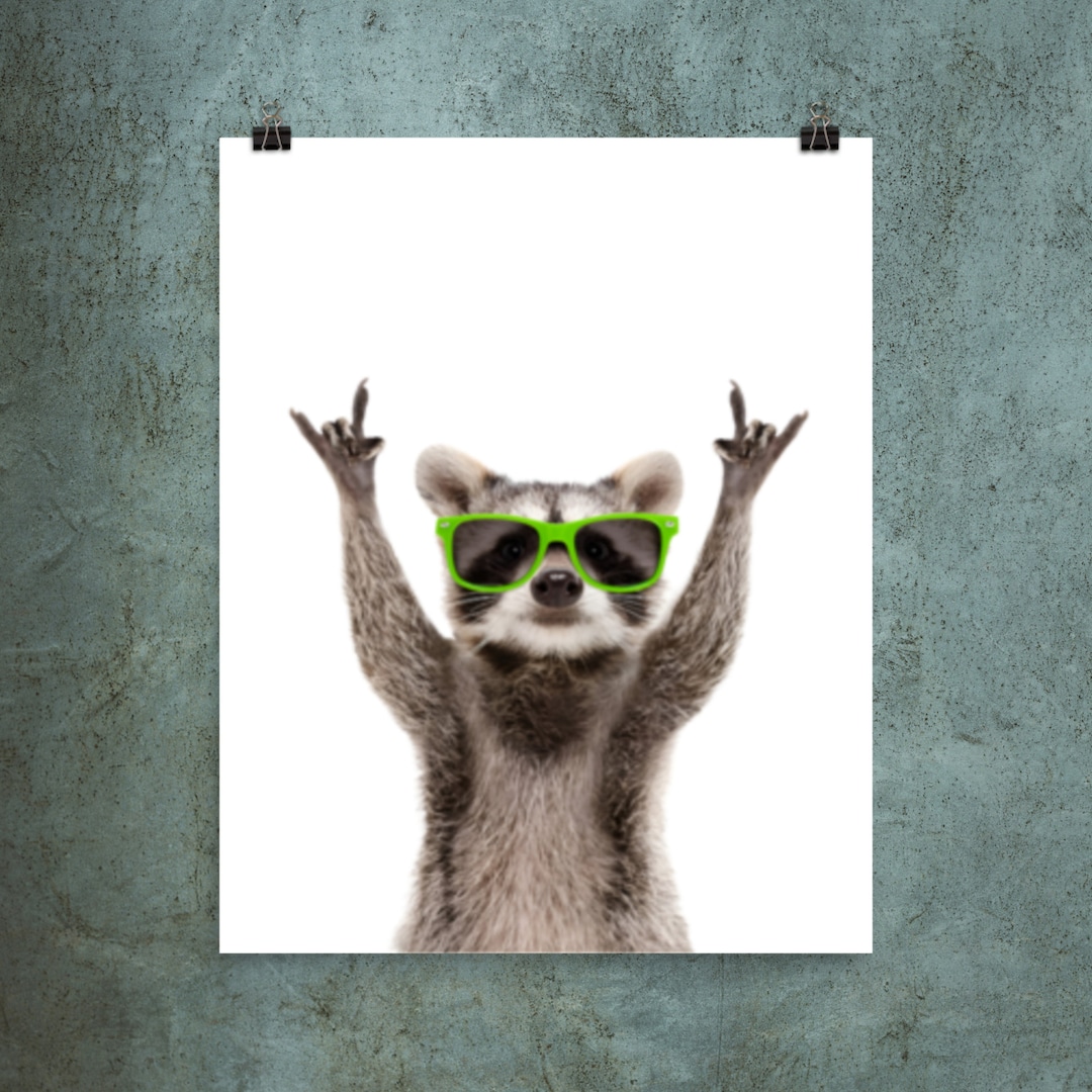 Rockin Raccoon Poster, Child Room Decor, Wall Art for Cabin, Decor for ...