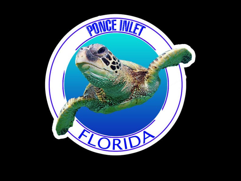 Ponce Inlet Florida Sea Turtle Vinyl Sticker Decal - Etsy