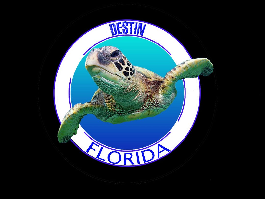Destin, Florida Sea Turtle Vinyl Decal - Etsy