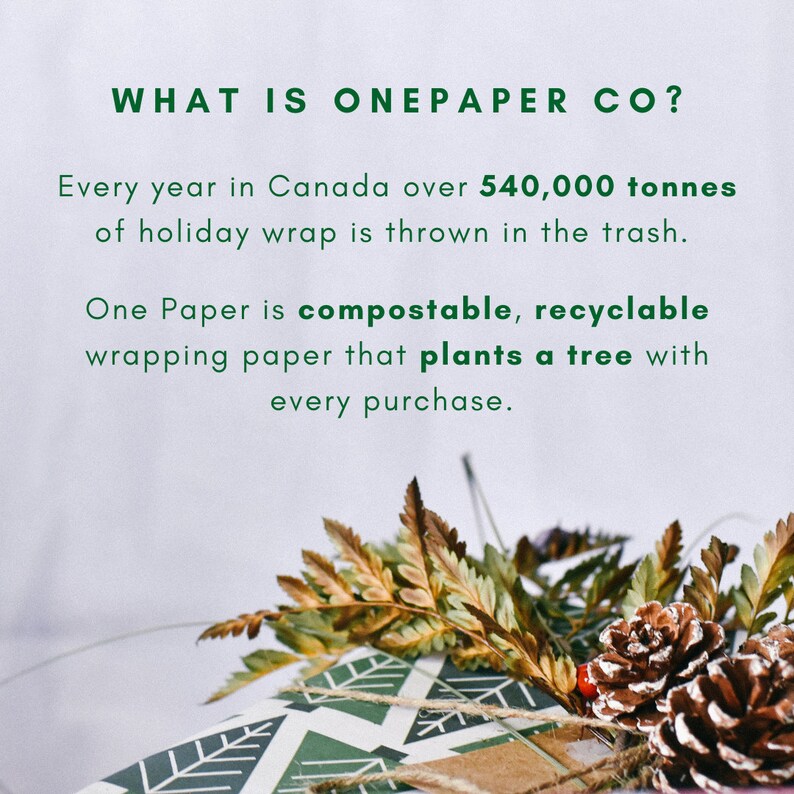 Sustainable Wrapping Paper Eco-friendly, Recycled, Zero Waste - Etsy
