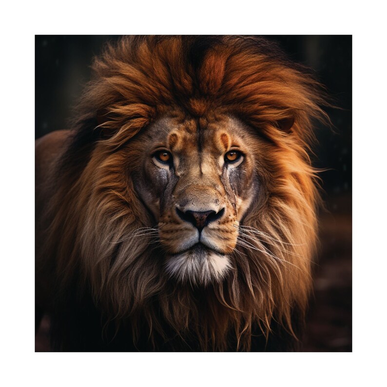 Majestic Lion Portrait Poster Powerful Close-up of Regal Lion Wild ...