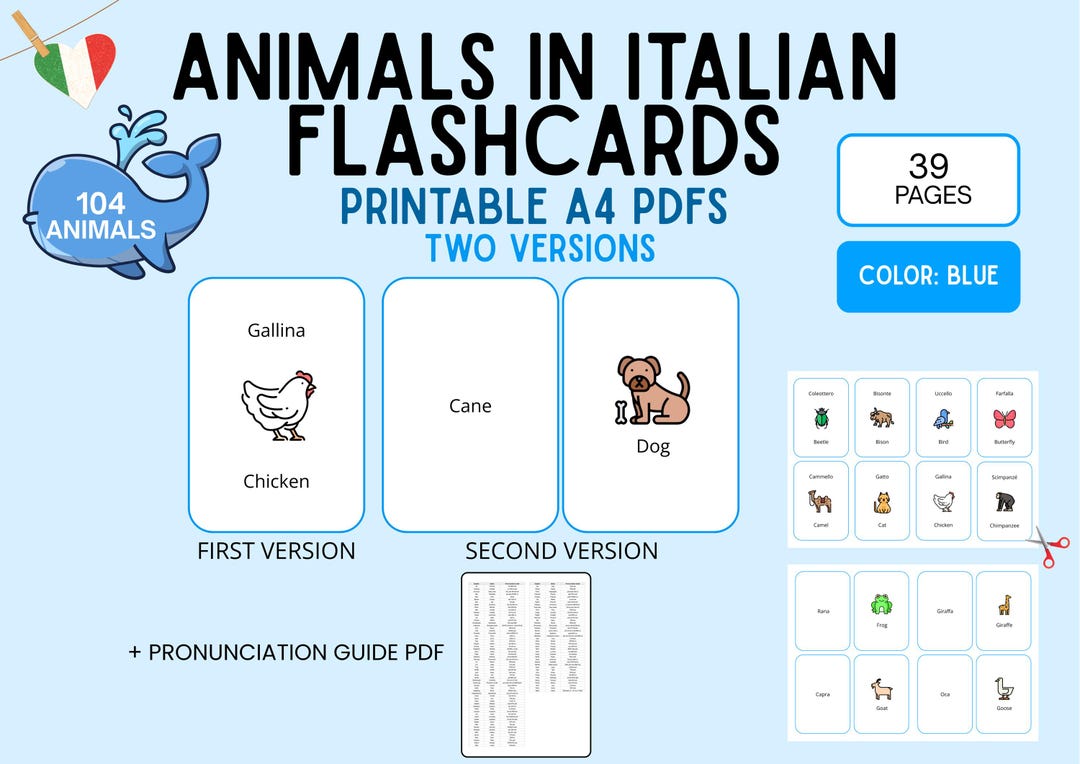 Animals in Italian Flashcards for Beginners | 104 Animals | Blue Color ...