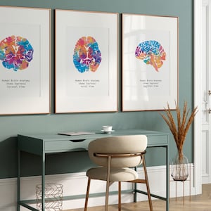 Human Brain Art, Axial, Coronal, Sagittal Sections View, Neuroscience ...